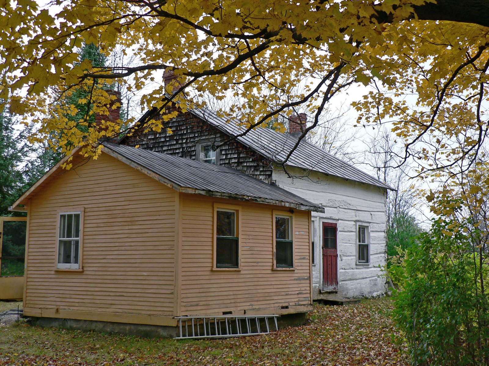 Shack in the Middle: What is Shack in the Middle?