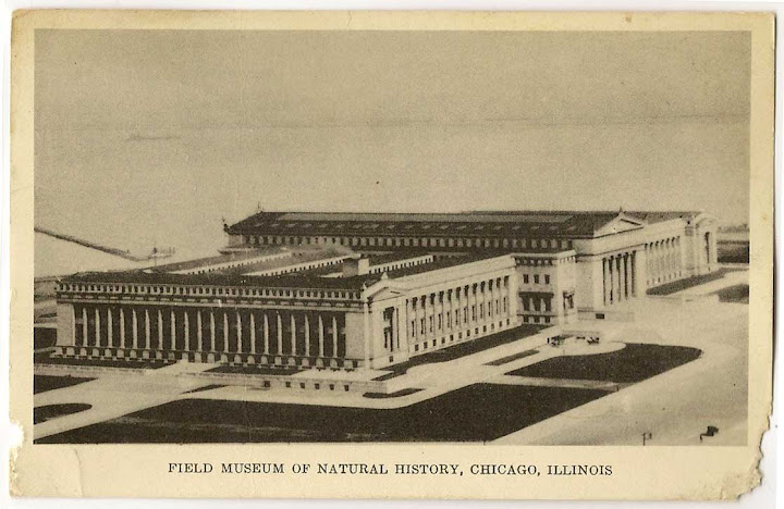 Why the Field Museum wasn't built on Chicago's Lakefront : r/chicago