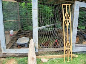 Dawn On The Farms Breeding Pens | BackYard Chickens - Learn How to ...