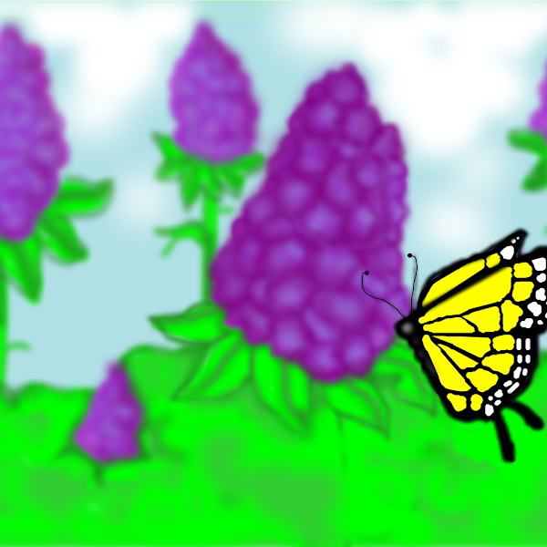 Spring » drawings » SketchPort