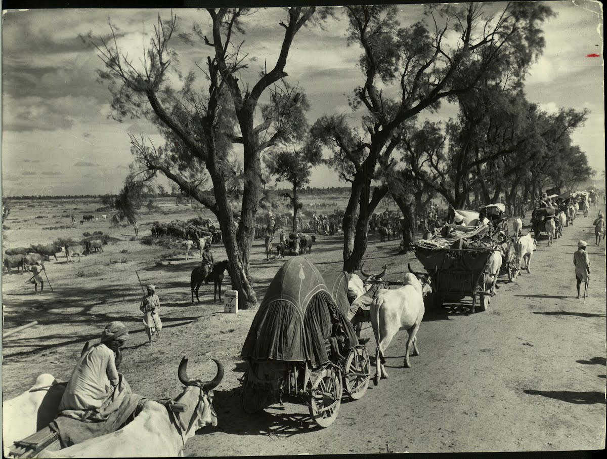 Mass Migration, India - Margaret Bourke-White — Google Arts & Culture