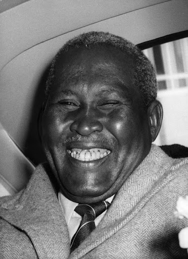 Albert Lutuli — Google Arts & Culture