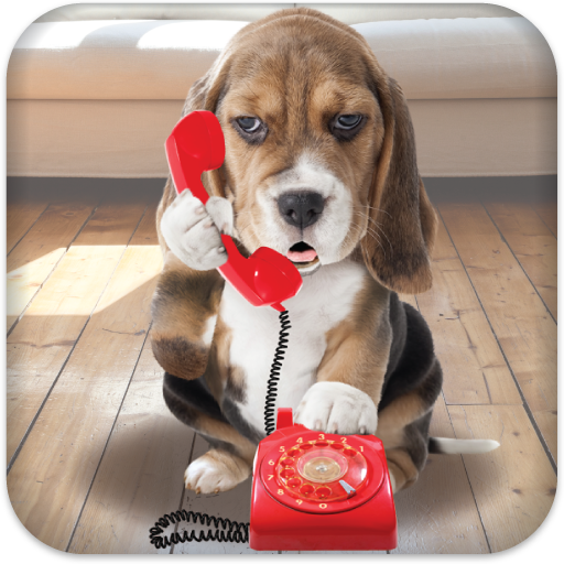 About: Puppy Call (Google Play version) | | Apptopia