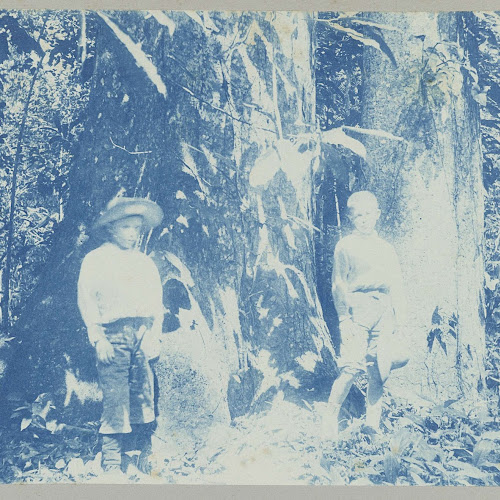 Anton en Piet achter Tourtonne, Hendrik Doijer, 1903 - 1910 - Rijksmuseum