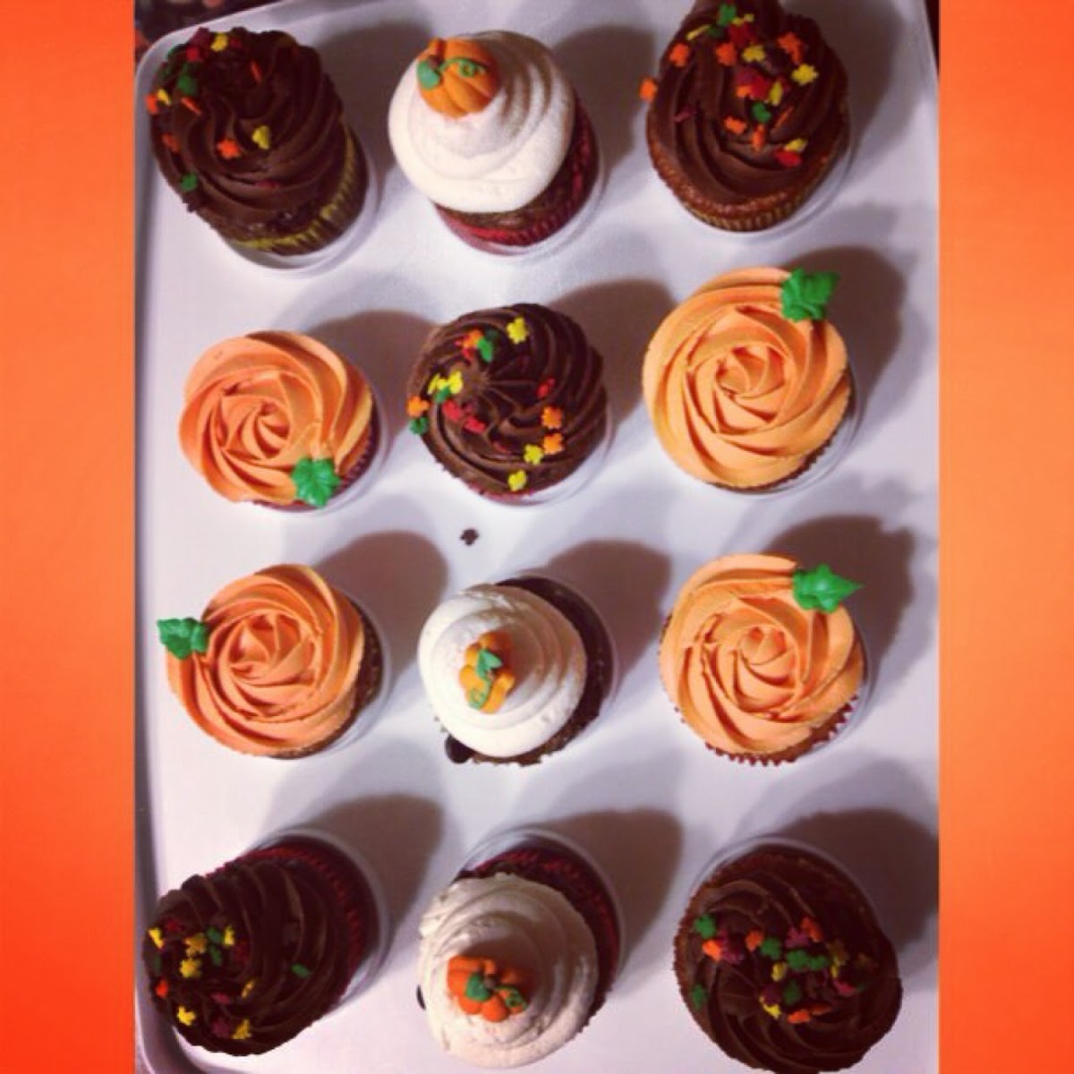 Gluten free assorted dozen cupcakes - Photo from Bad Wolf Bakery