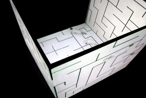 Human Maze - Jin, Siyon — Google Arts & Culture