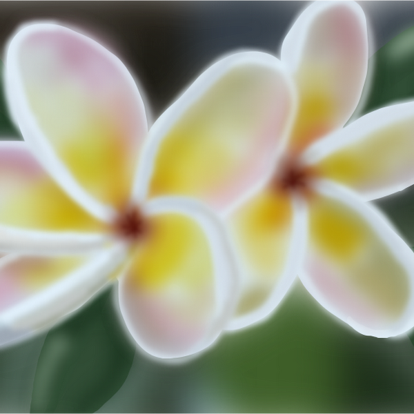 Random Flowers from a Marsh » drawings » SketchPort