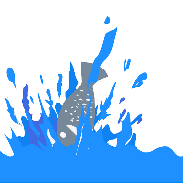 Splash of fish » drawings » SketchPort