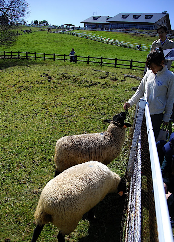 Down on the farm in Yamanashi Japan : Jacked-in || Movie Reviews ...