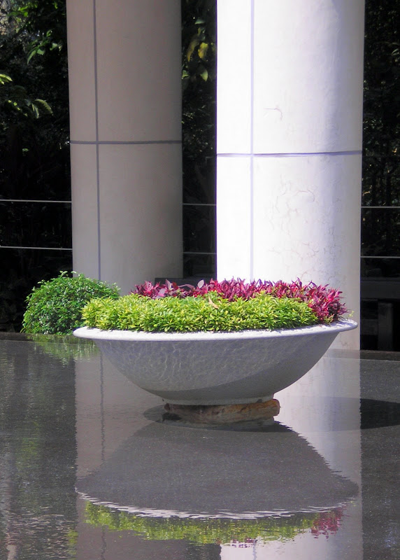 Revisitando o jardim do Tai-Chi - Momentos e Olhares