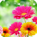 3D Flower - Google Play Store - US - Category Rankings, Keyword ...