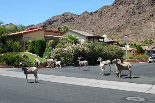 RV Parky | RV Parks & Campgrounds Directory, Reviews, Photos