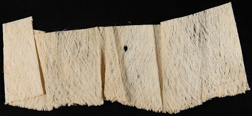 Tree Bark and Wood Pulp Samples from Brazil, Sample #13, 1925-1928 ...