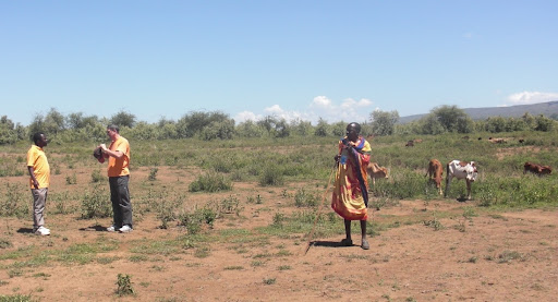Red Maasai sheep — Google Arts & Culture