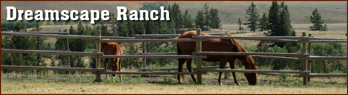 Home [www.dreamscaperanch.com]