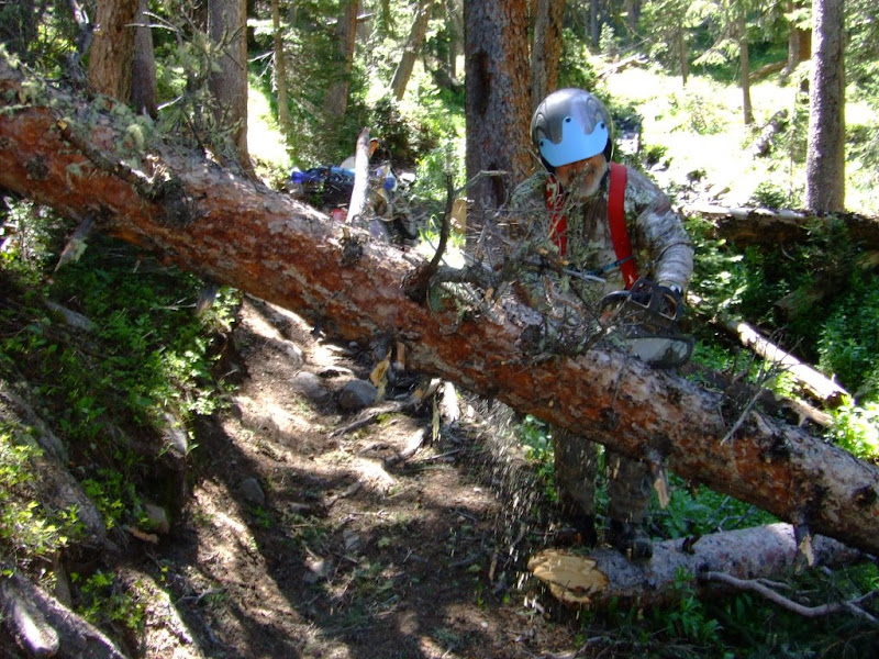 Salida, Buena Vista, Sargents info | Page 3 | Adventure Rider