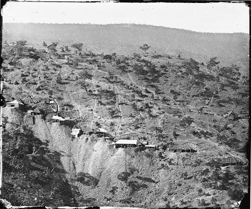 The Holtermann collection: the greatest wonder of the world - State ...