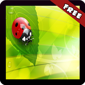 Ladybugs Wallpaper - Latest version for Android - Download APK