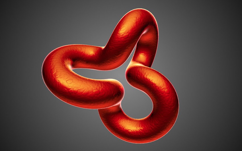 Spherical Normal Mapping by Jaume Sánchez | Experiments with Google